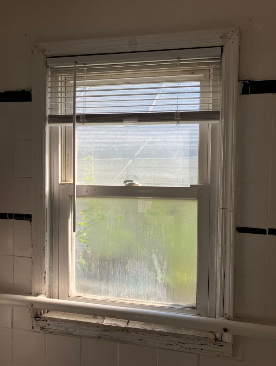 GLOBAL WINDOW NY